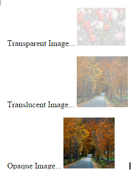 Css Image Transparency Css Tutorial By Wideskills
